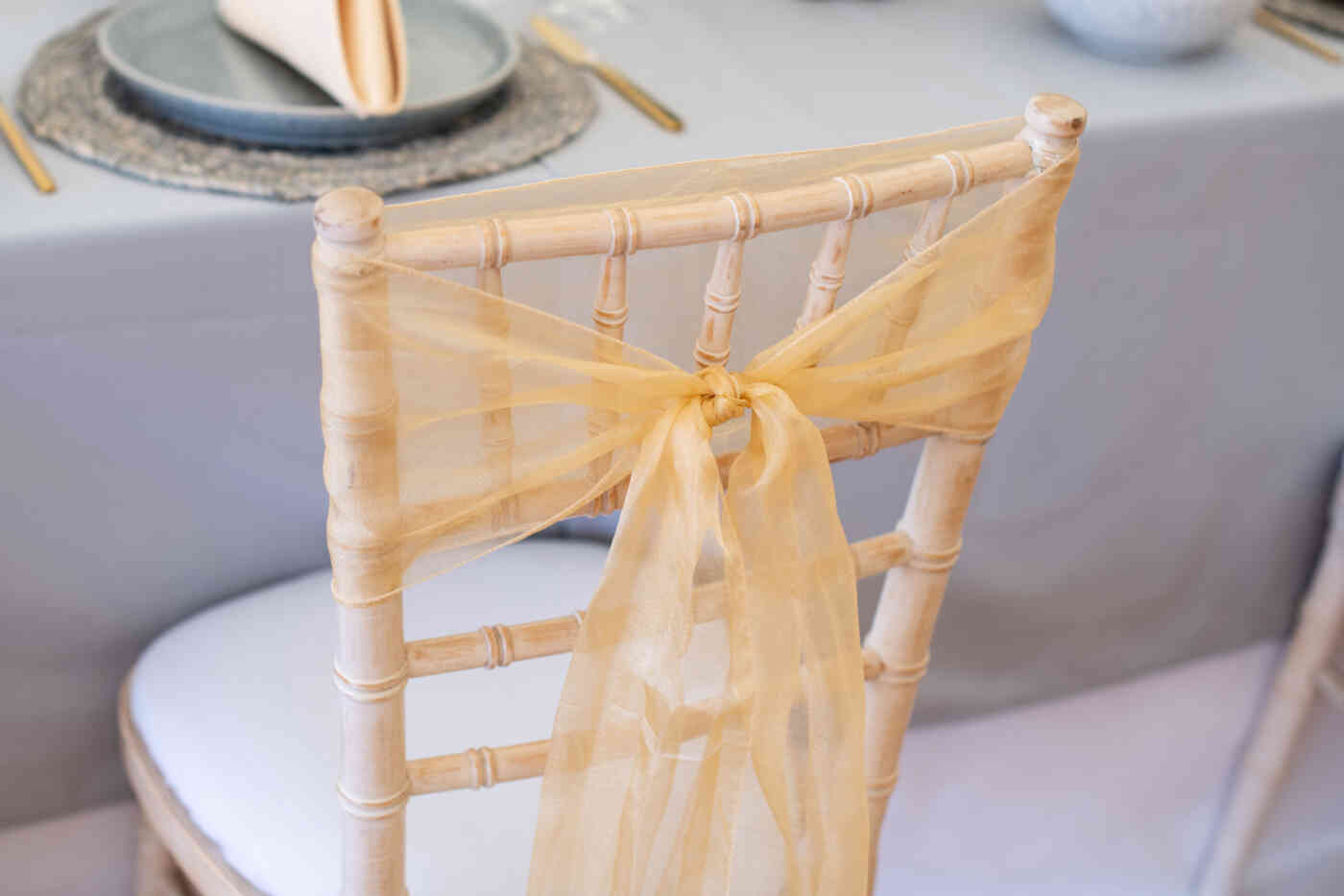 Natural Cream Organza | Special Occasion Linen